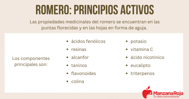 Romero: qué es, botánica, propiedades terapéuticas, beneficios y usos ...