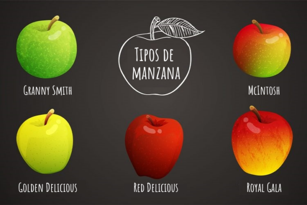 Manzana: qué es, valores nutricionales, propiedades, beneficios y usos ...