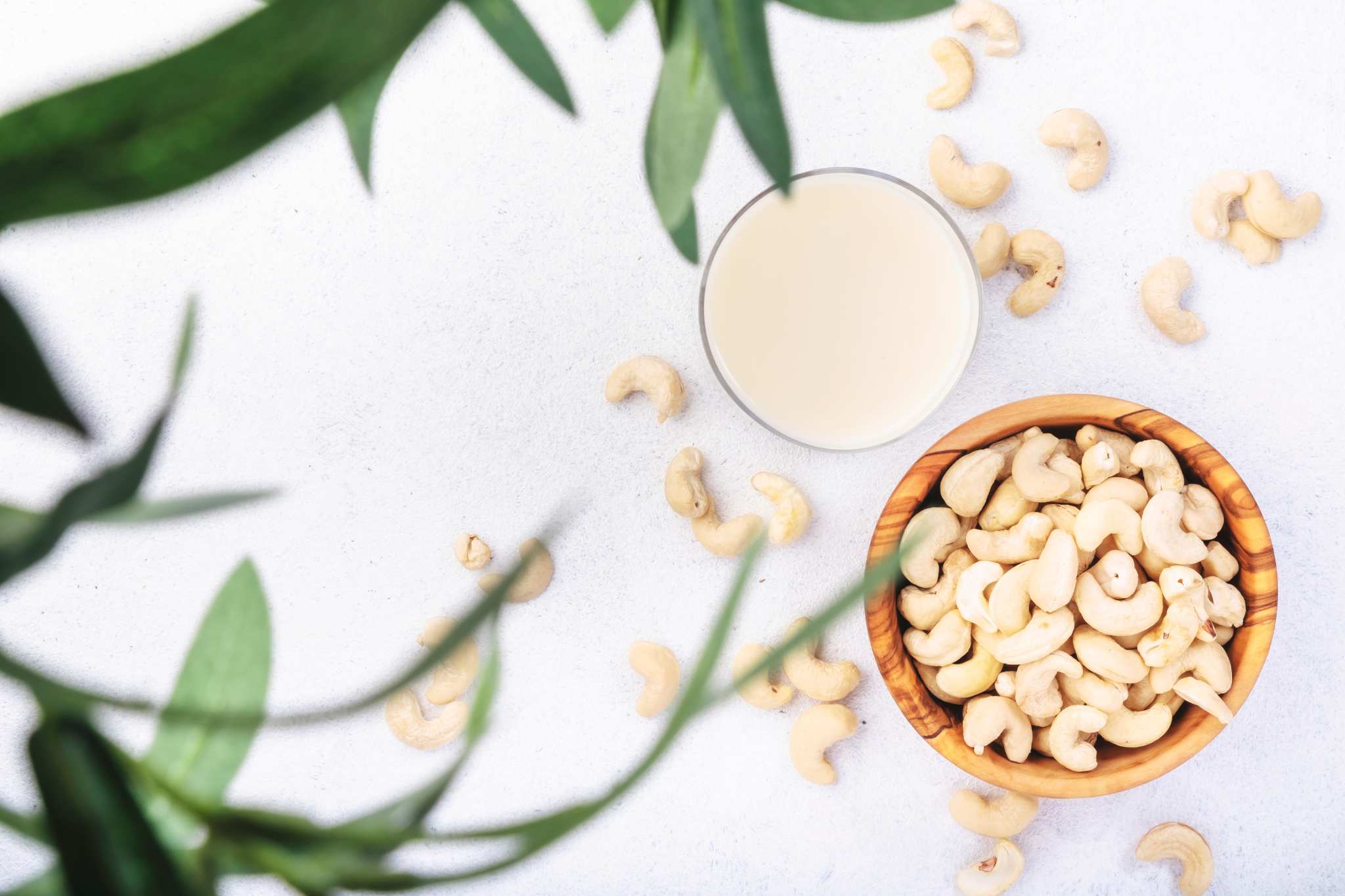 Anacardos: qué son, propiedades, calorías y beneficios - Manzanaroja Dieta